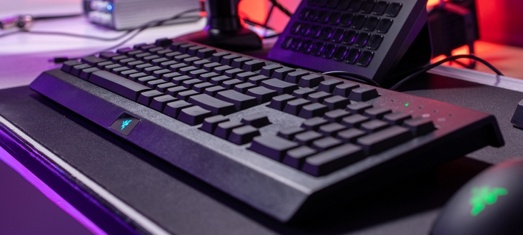 Razer Cynosa Lite Keyboard Review | KitGuru