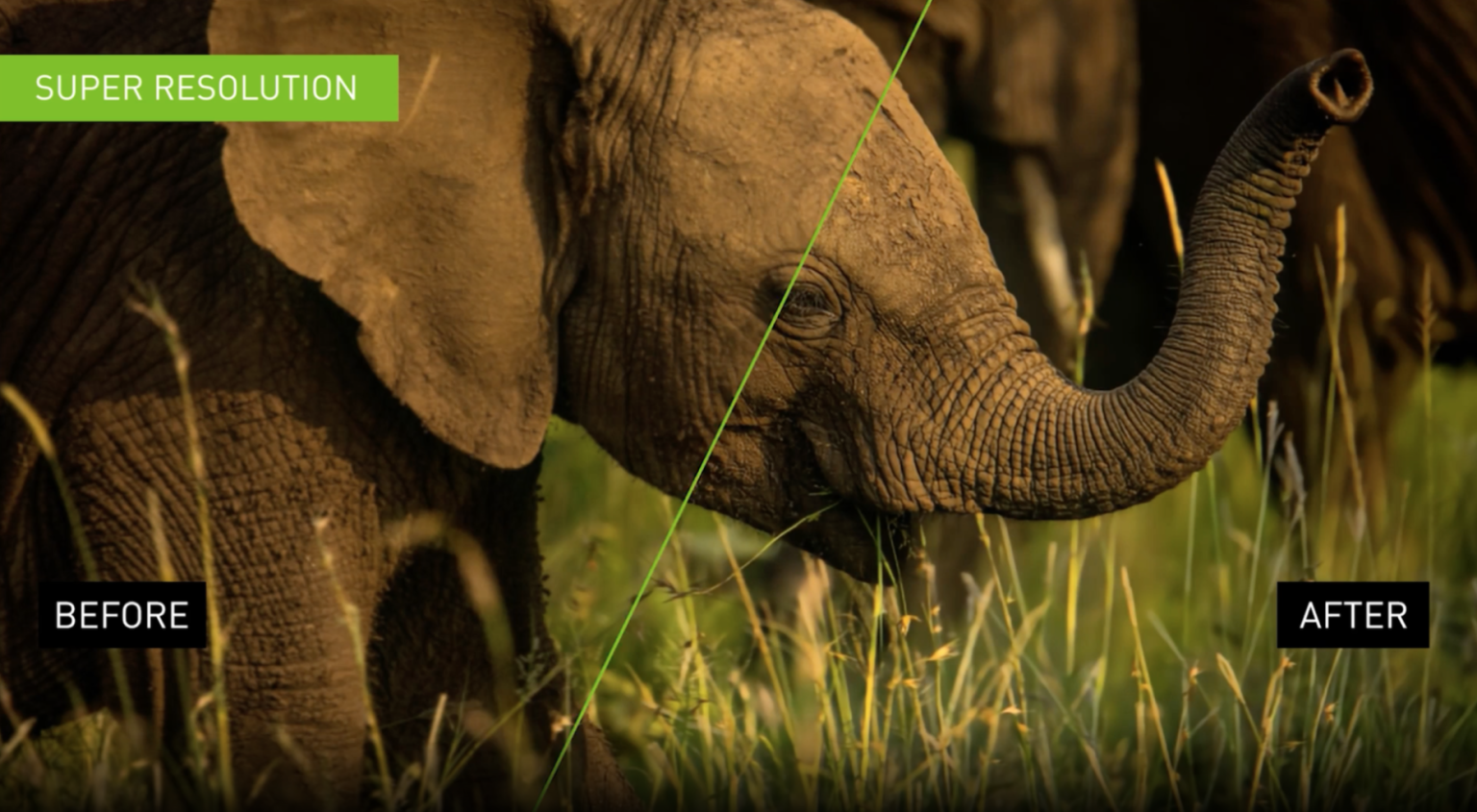 RTX Video Super Resolution gets AI-model upgrade | KitGuru