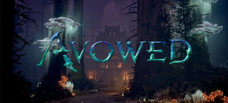 Avowed director confirms Microsoft ‘happy’ with game’s player numbers ...